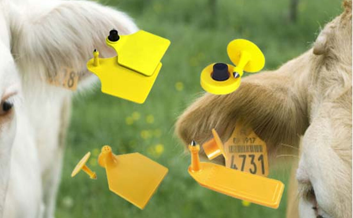 Deciphering RFID Animal Ear Tags: Choosing Between LF and UHF