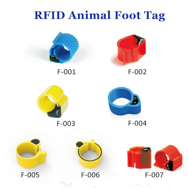 100pcs ABS PP Material RFID Chicken Duck Goose Tag foot ring tag for f